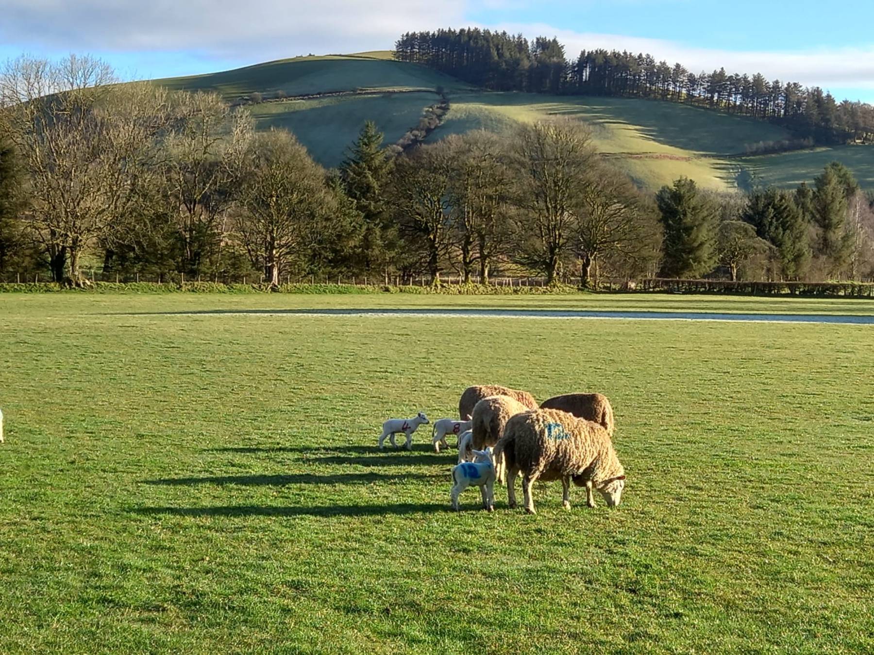 Photo Gallery – Glangwy Farm Camping